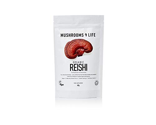 Premium mushrooms supplement for wellness