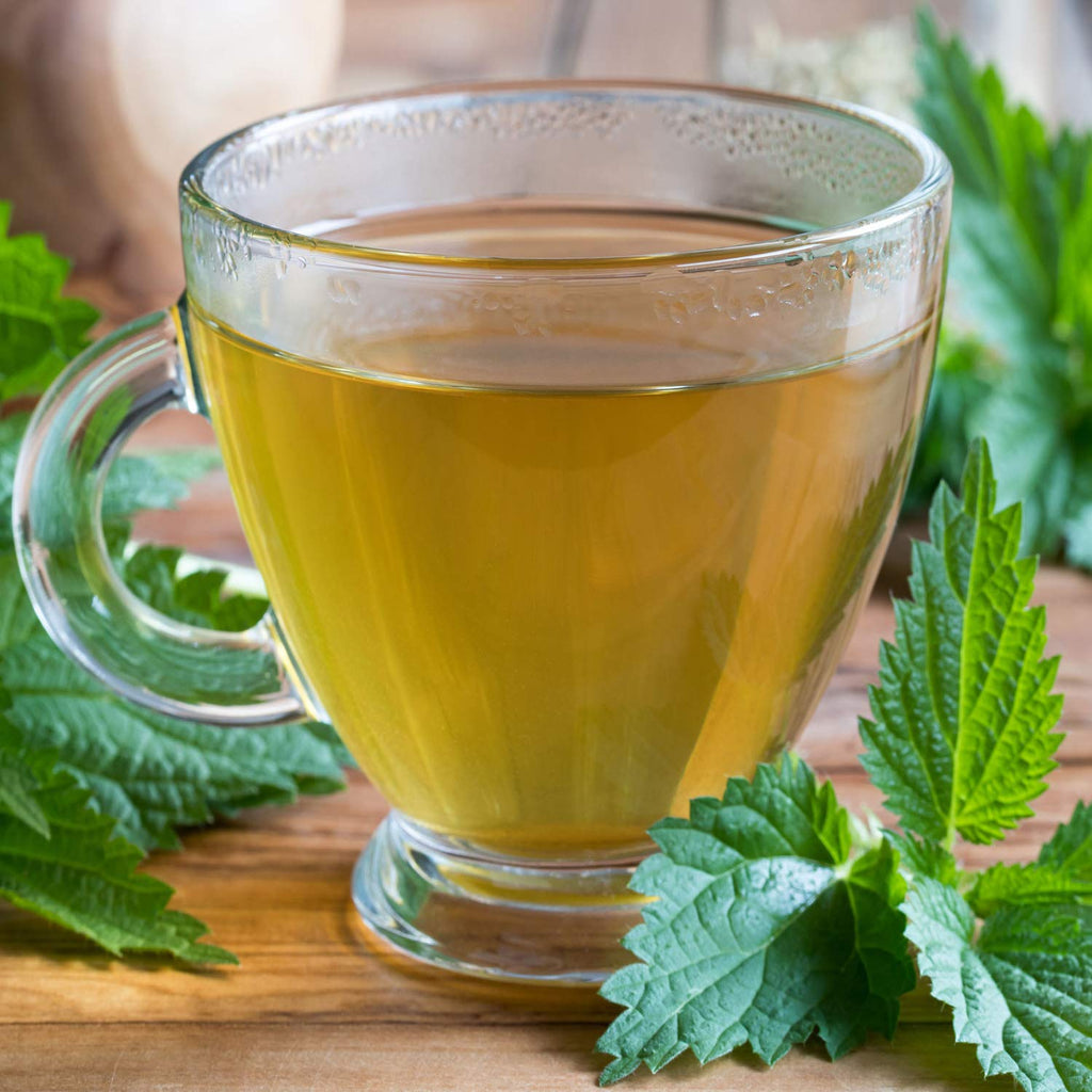 premium nettle tea for detox