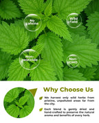 premium nettle tea for health