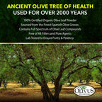 premium olive leaf for immune support