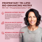 premium organ supplement for wellness