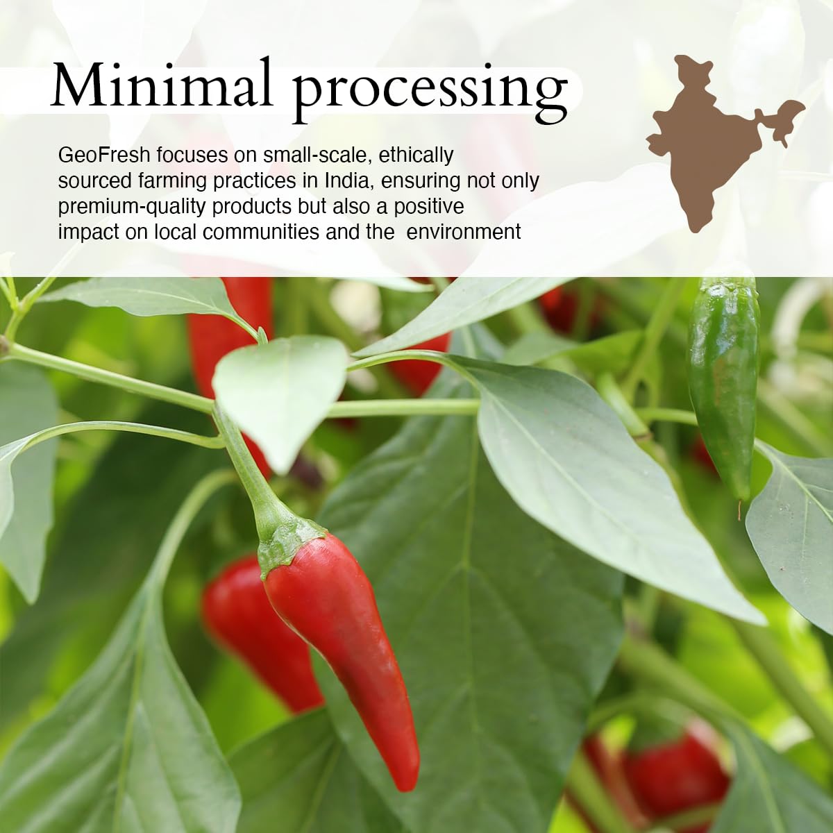 premium organic cayenne spice