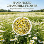 premium organic chamomile tea bags
