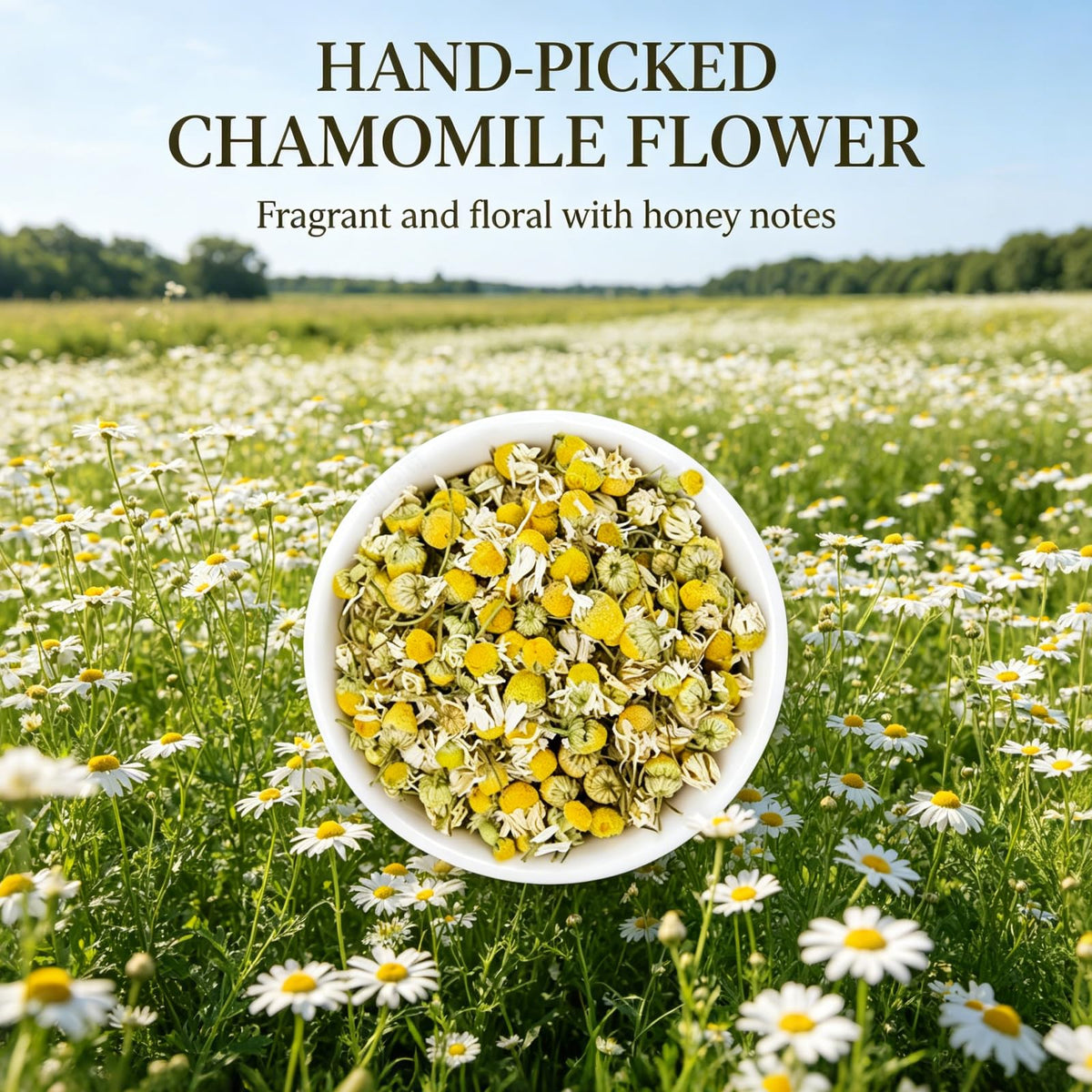 premium organic chamomile tea bags