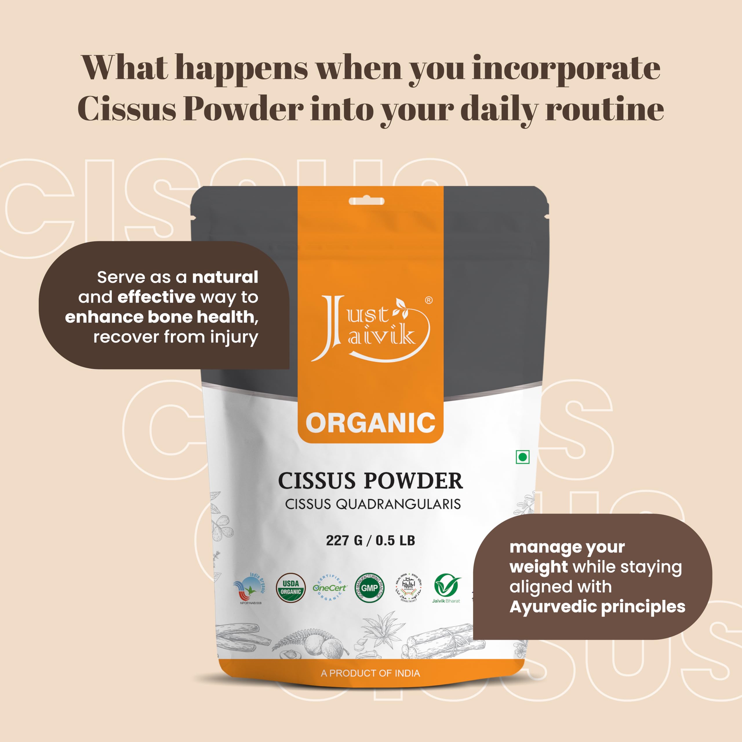 premium organic cissus quadrangularis powder