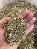 premium organic echinacea for wellness