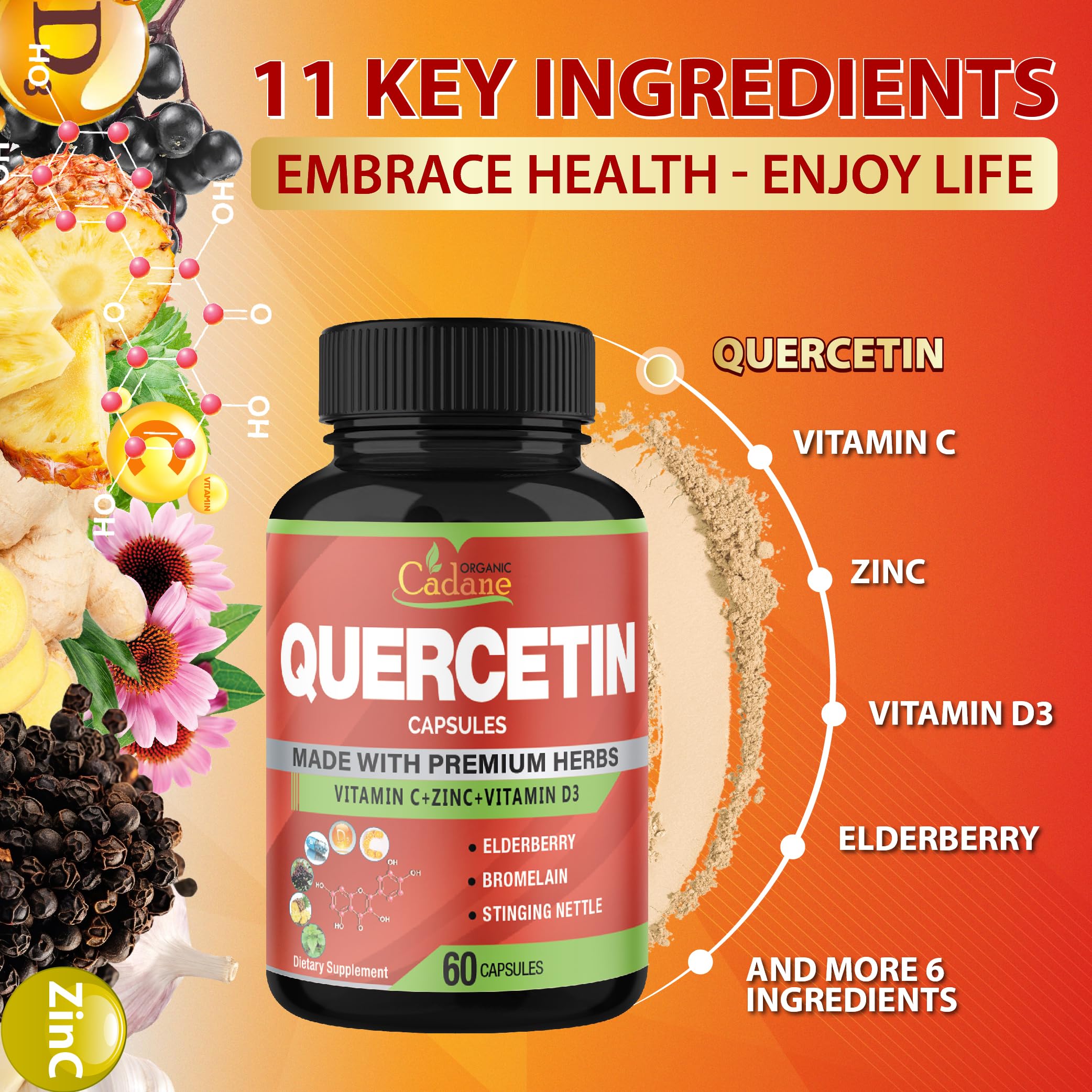 premium organic elderberry formula