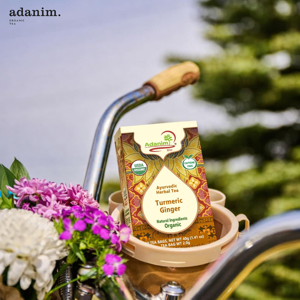 premium organic ginger tea bags
