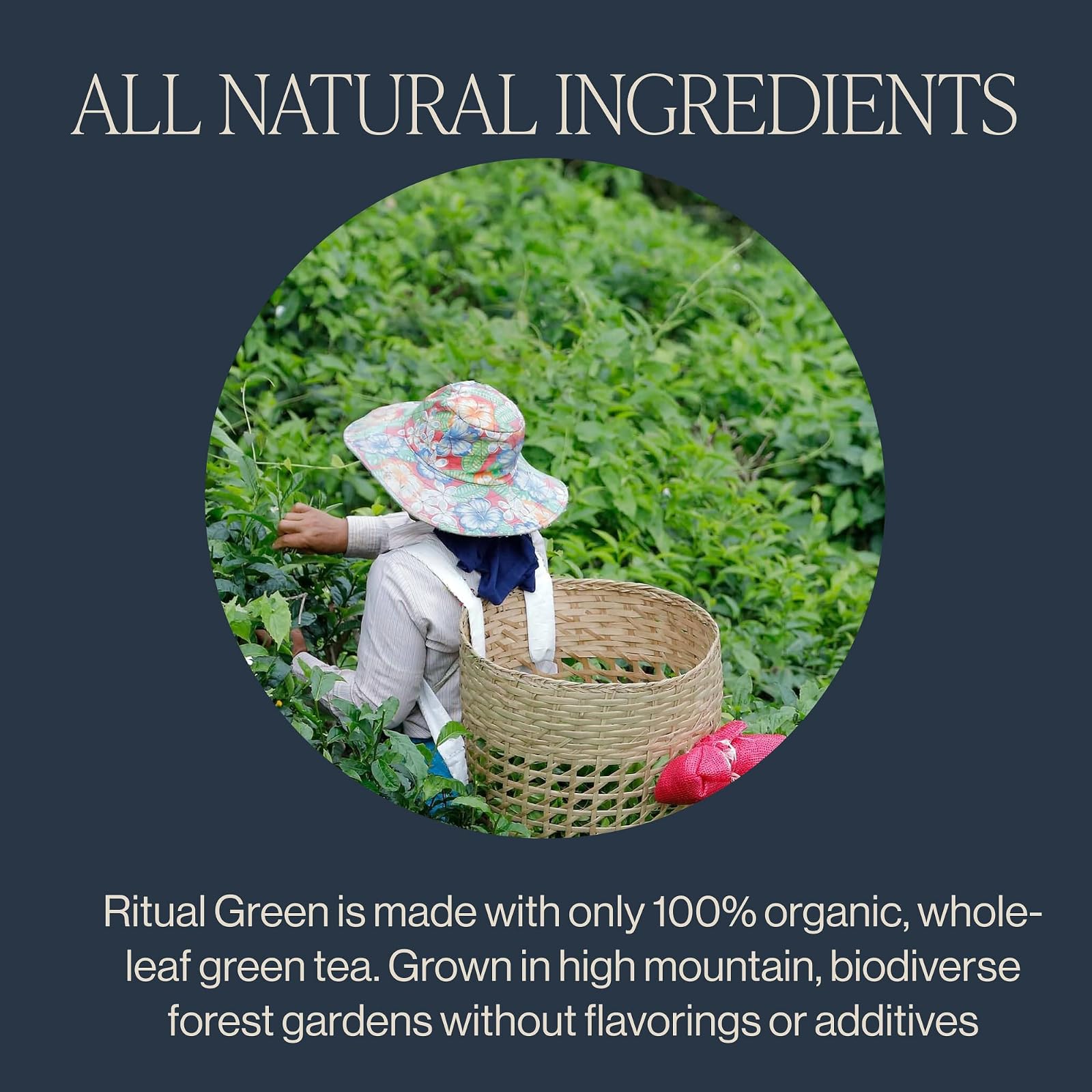 premium organic green tea blend