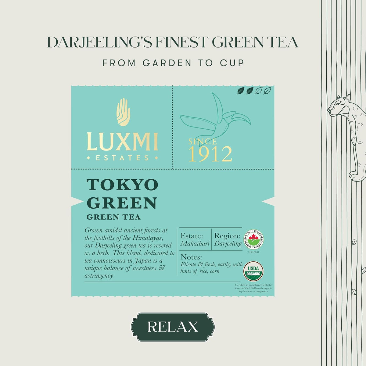 premium organic green tea experience