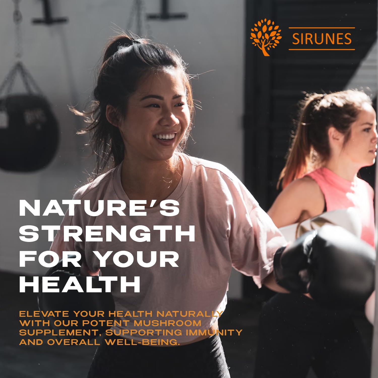 premium organic mushroom supplement