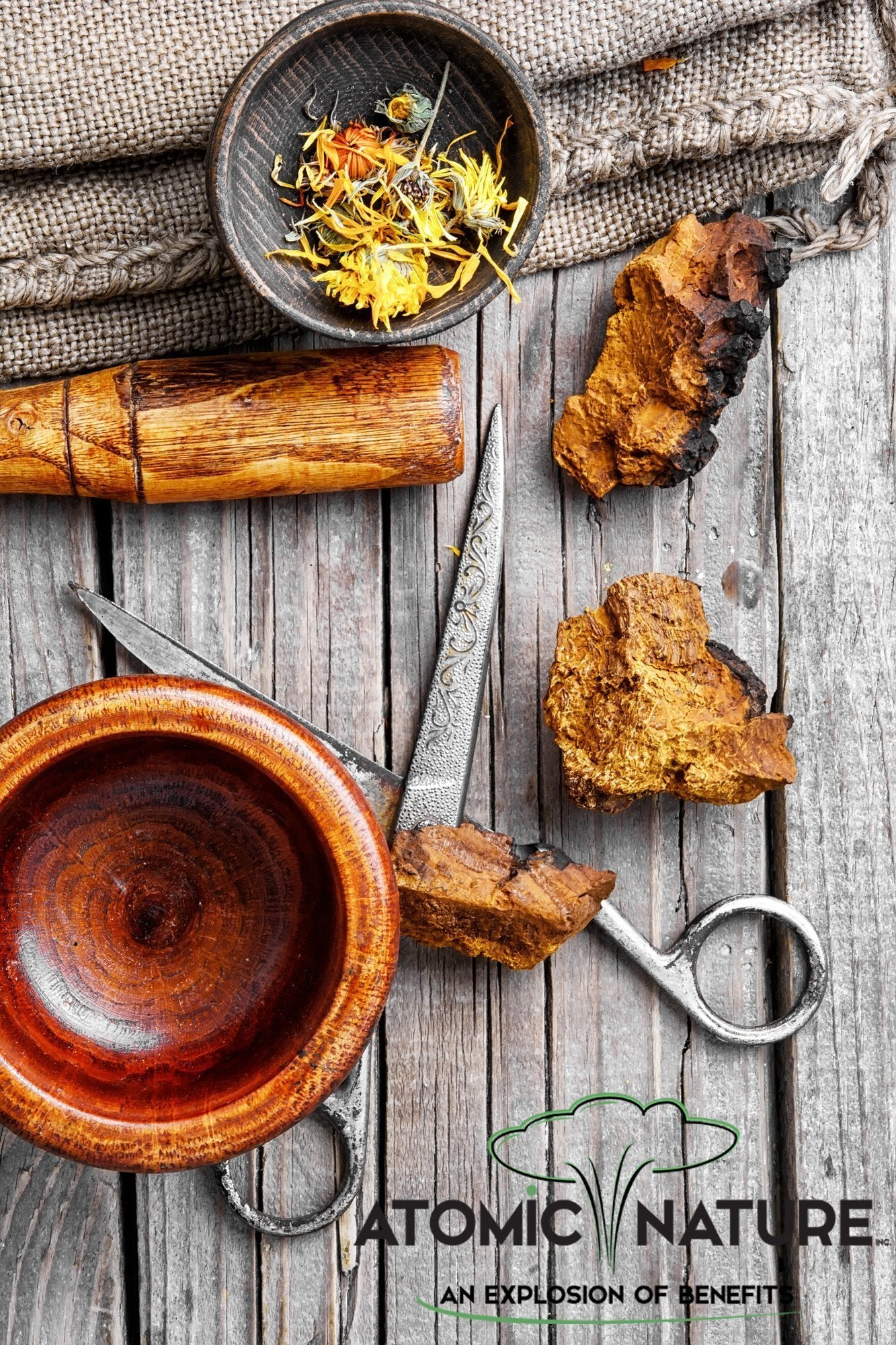 premium organic mushrooms for health