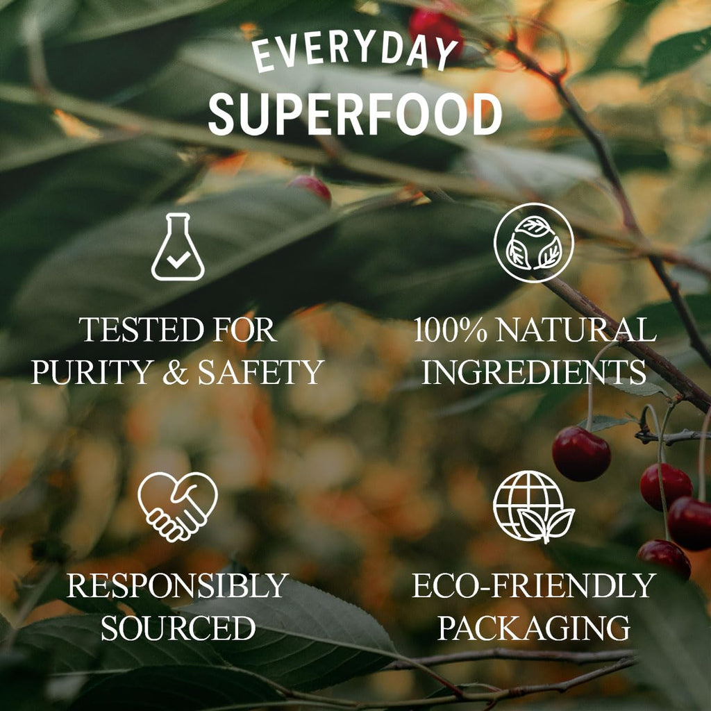 premium organic mushrooms for smoothies