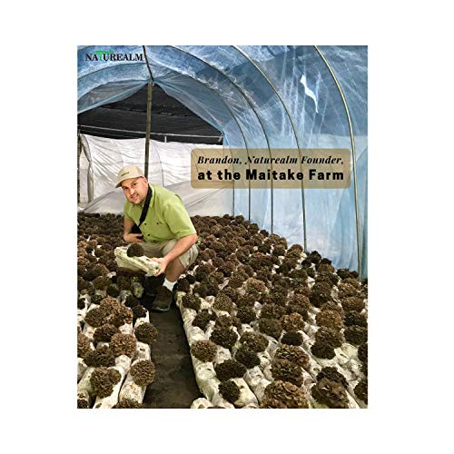 premium organic mushrooms for wellness