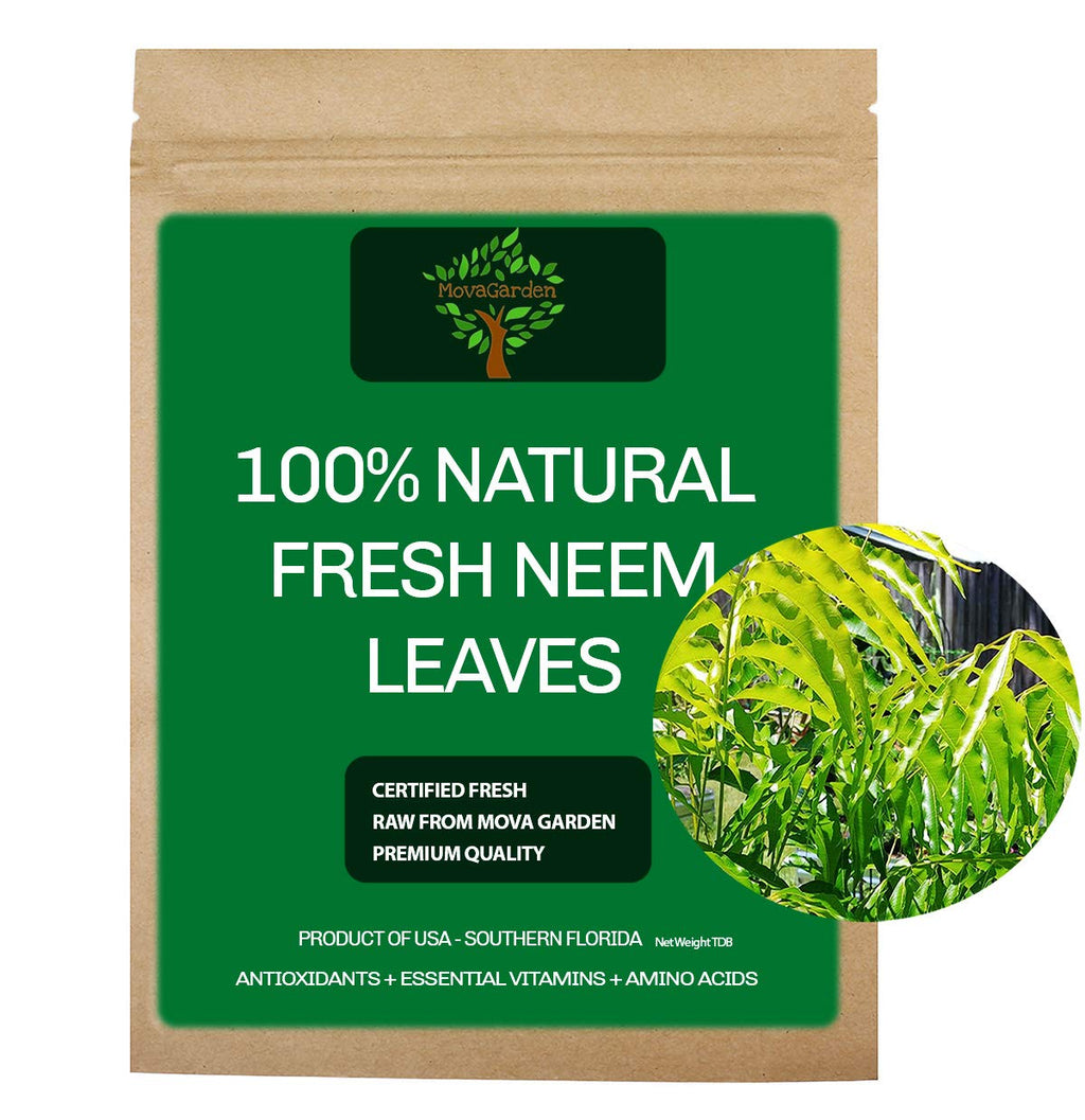 premium organic neem leaves