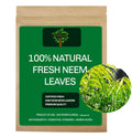 premium organic neem leaves