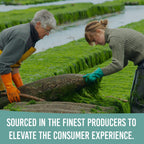 premium organic spirulina for wellness
