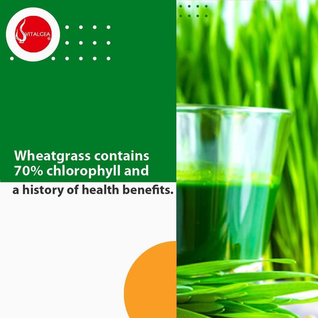 premium organic vitamins for wellness