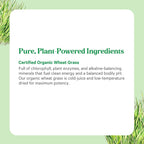 premium organic wheatgrass for health