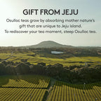 premium OSULLOC fruit tea selection