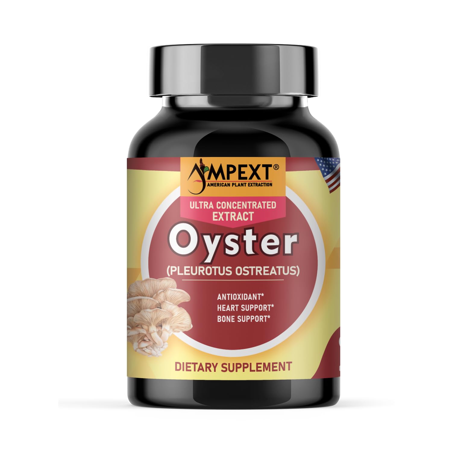 Premium oyster mushroom extract capsules