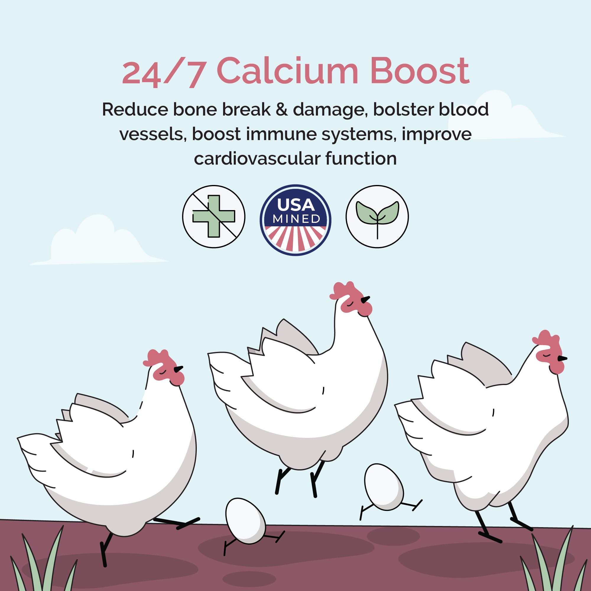 premium oyster shell for poultry nutrition