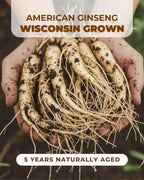 premium Panax ginseng for vitality