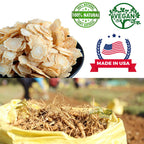 premium panax ginseng for vitality