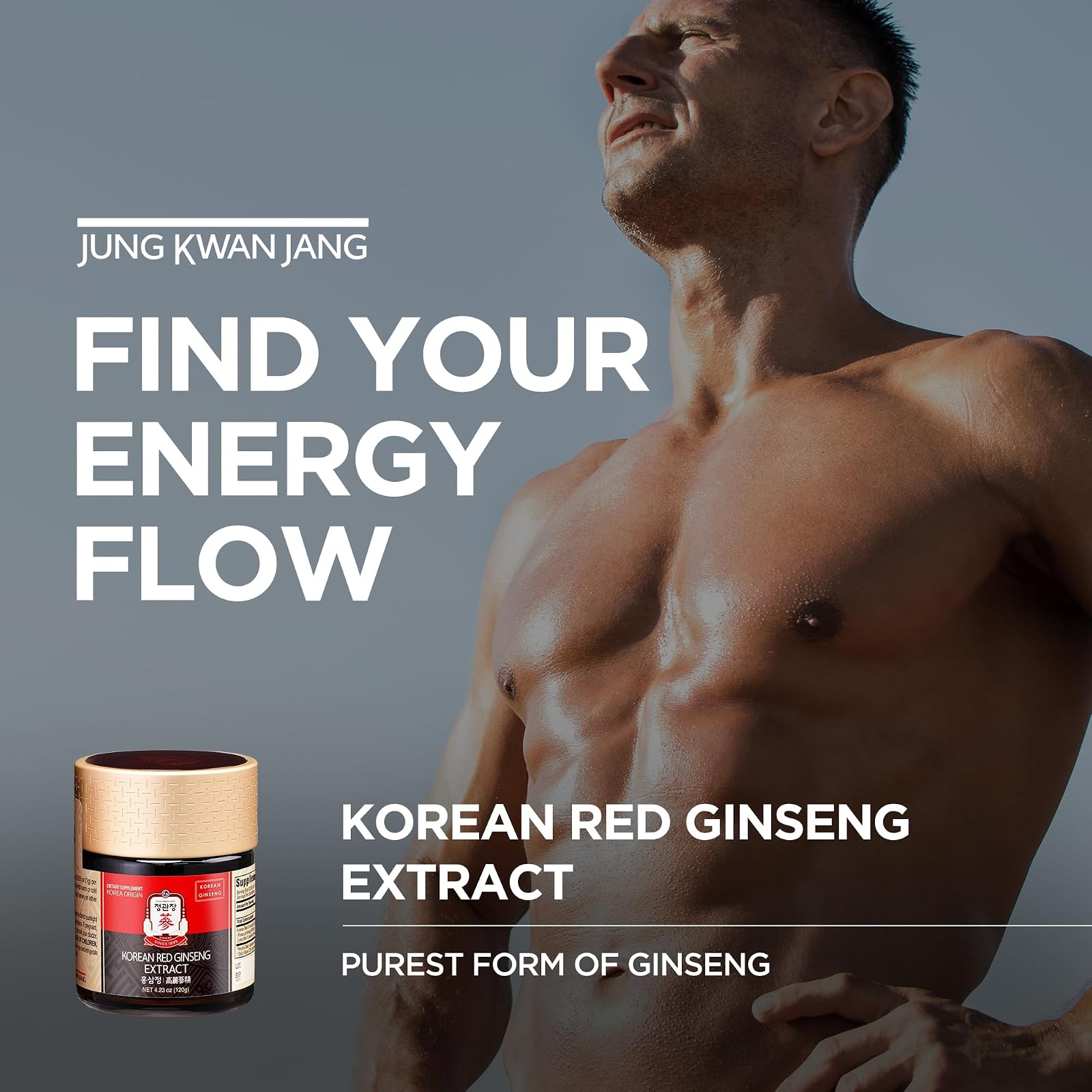 Premium panax ginseng for vitality
