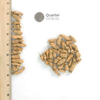 Premium panax ginseng for wellness