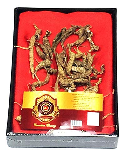 premium panax ginseng root extract