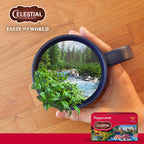 premium peppermint herbal tea for wellness