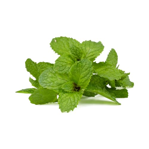 premium peppermint leaf supplement