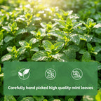 premium peppermint tea for wellness