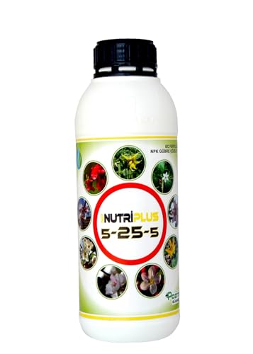 premium plant food for blooms