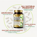 premium probiotics for overall wellness