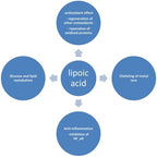 premium quality alpha lipoic acid capsules
