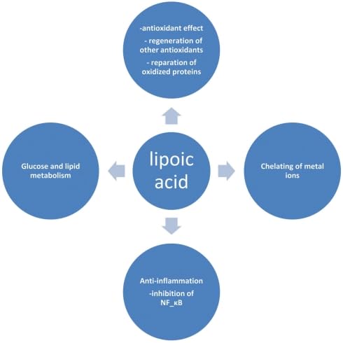 premium quality alpha lipoic acid capsules