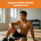 premium quality alpha lipoic acid supplement
