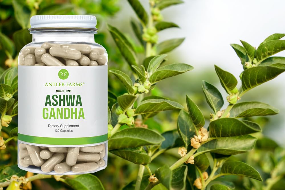 premium quality ashwagandha supplement