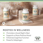 premium quality ashwagandha supplement