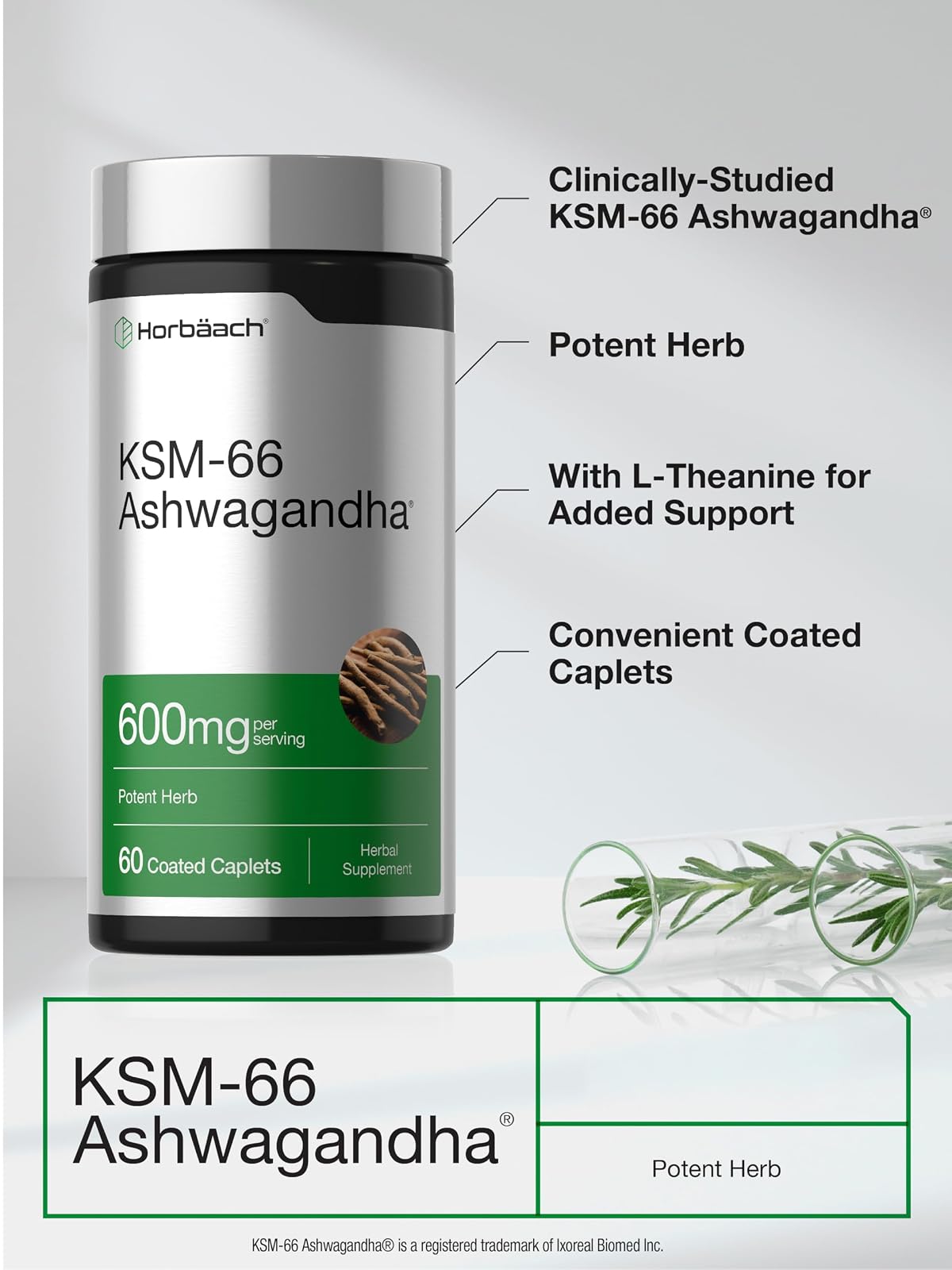 premium quality ashwagandha supplements