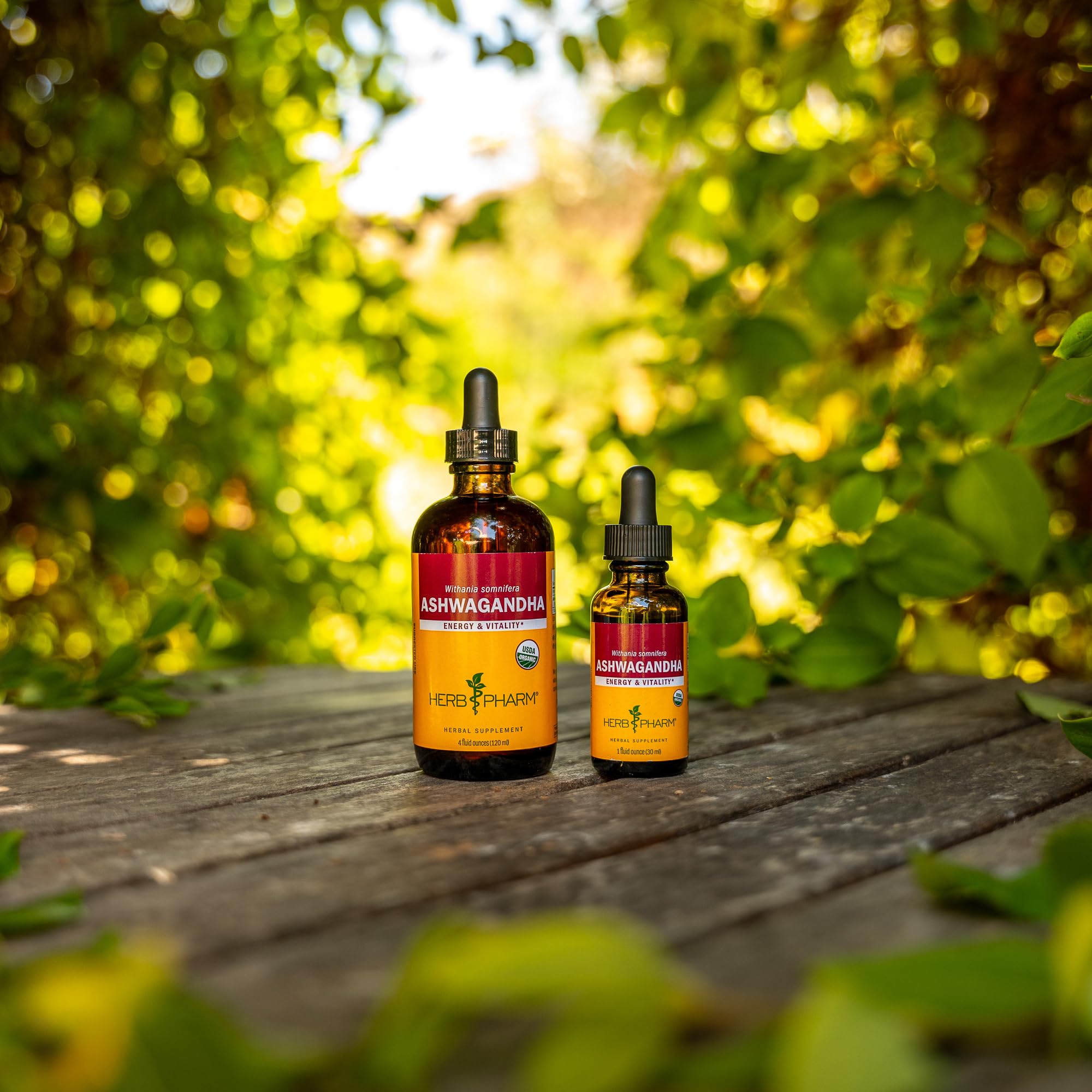 premium quality ashwagandha tincture