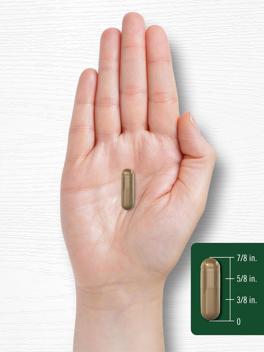 premium quality astragalus root extract