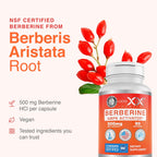 premium quality berberine hcl capsules