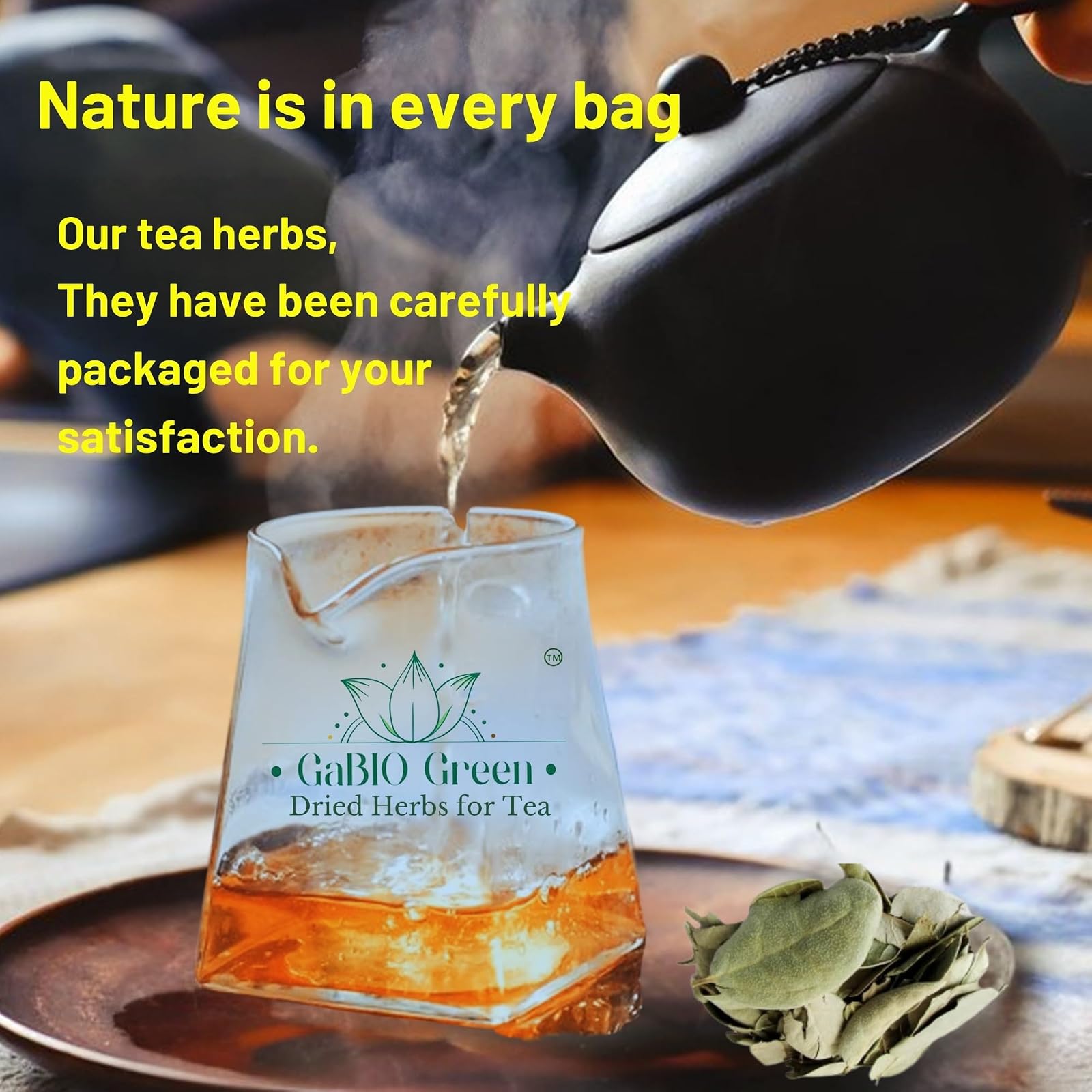 premium quality Boldo leaves for brewing