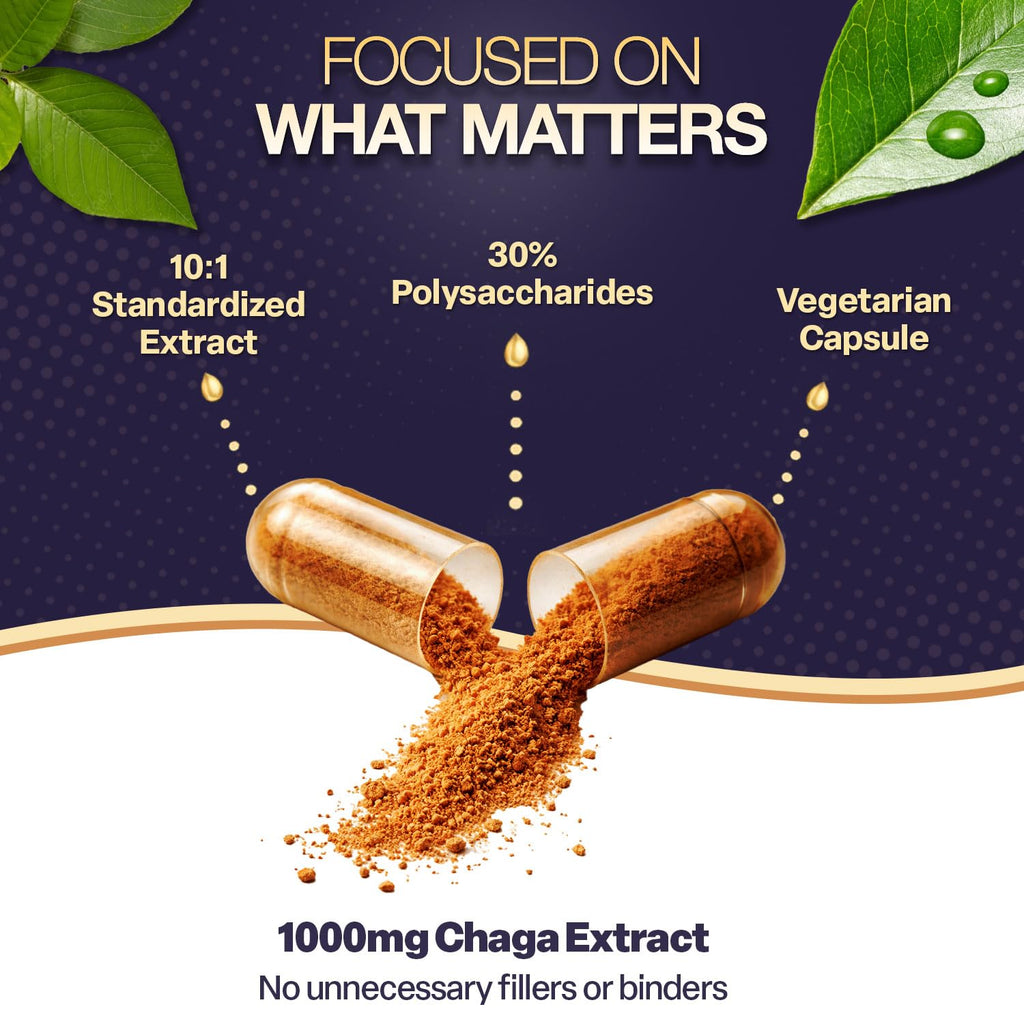 premium quality chaga mushroom extract