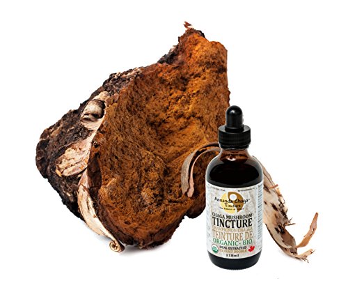 premium quality chaga mushroom extract