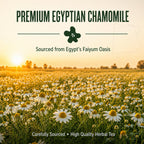 premium quality chamomile flowers for brewing