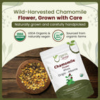 premium quality chamomile flowers